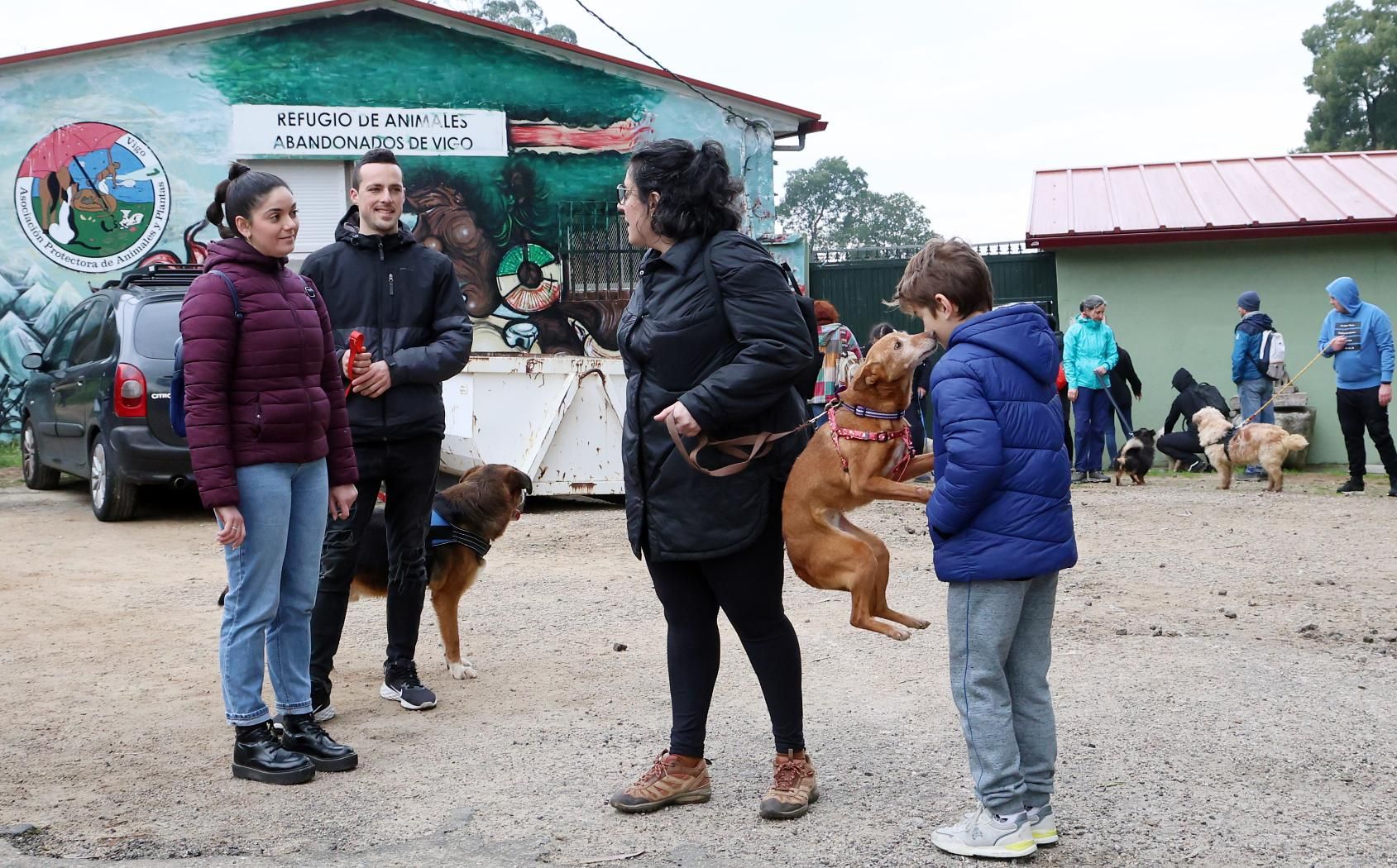 PASEO DE PERROS PERRERA VIGO: Un paseo de esperanza para los perros de ...