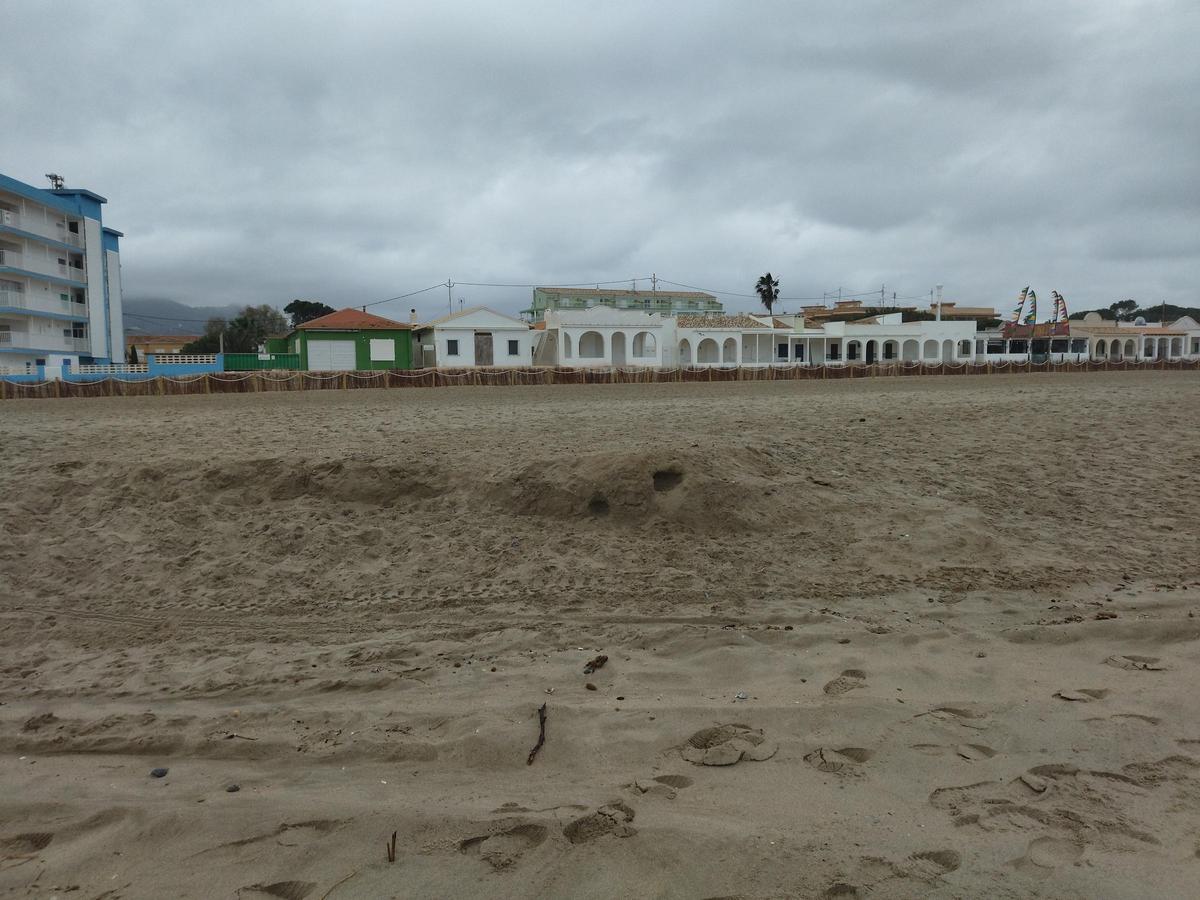 REGENERACIÓN LITORAL | Les Deveses de Dénia le pierde el miedo a los ...