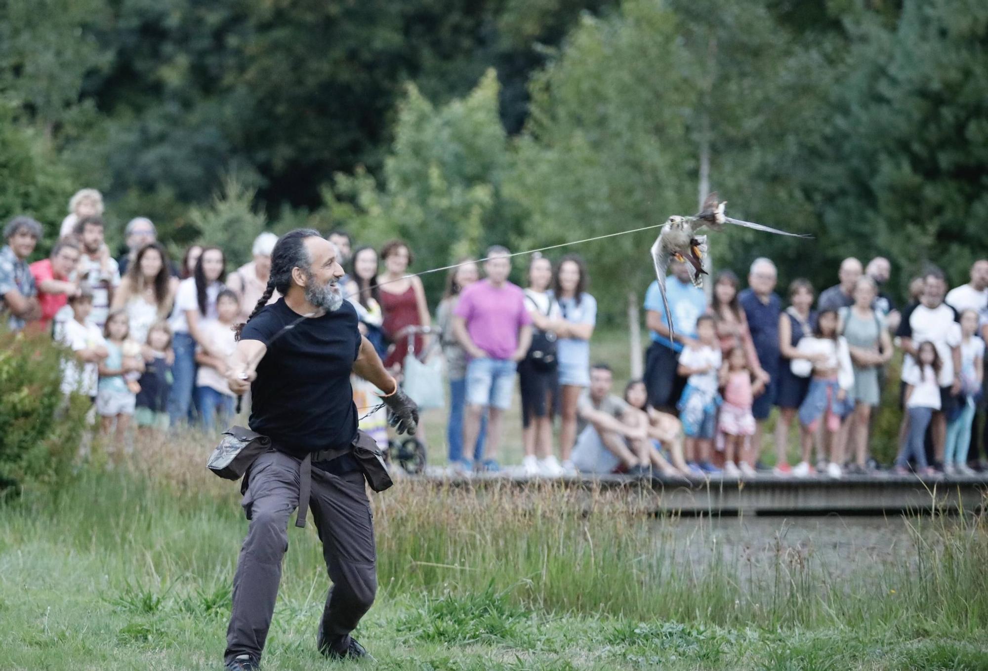 Los primeros vuelos de "Nocturnia" en el Jardín Botánico de Gijón, en ...