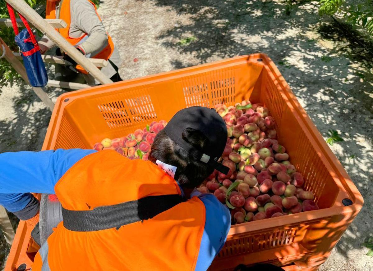 Fecoam impulsa la innovación para dar respuestas concretas a los retos ...