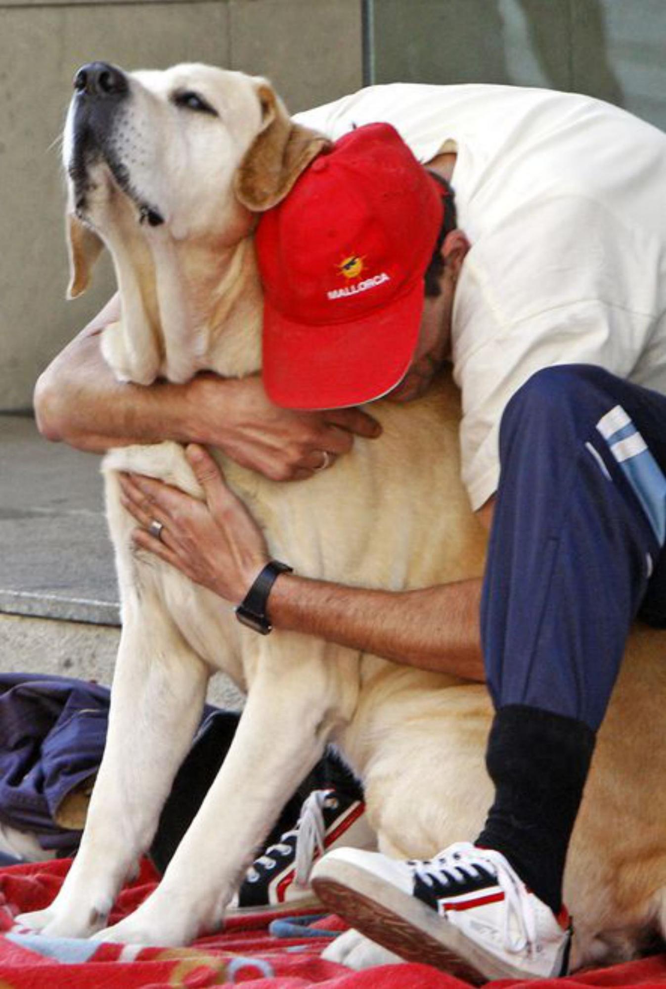 ¿Estrés o fatiga? Abrace a un perro