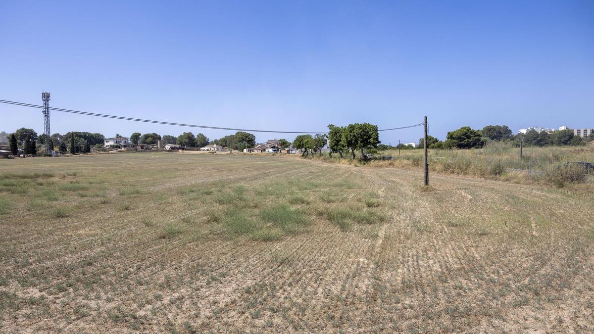 Vivienda Mallorca: Urbanismo rechaza explicar en qué barrios de Palma ...