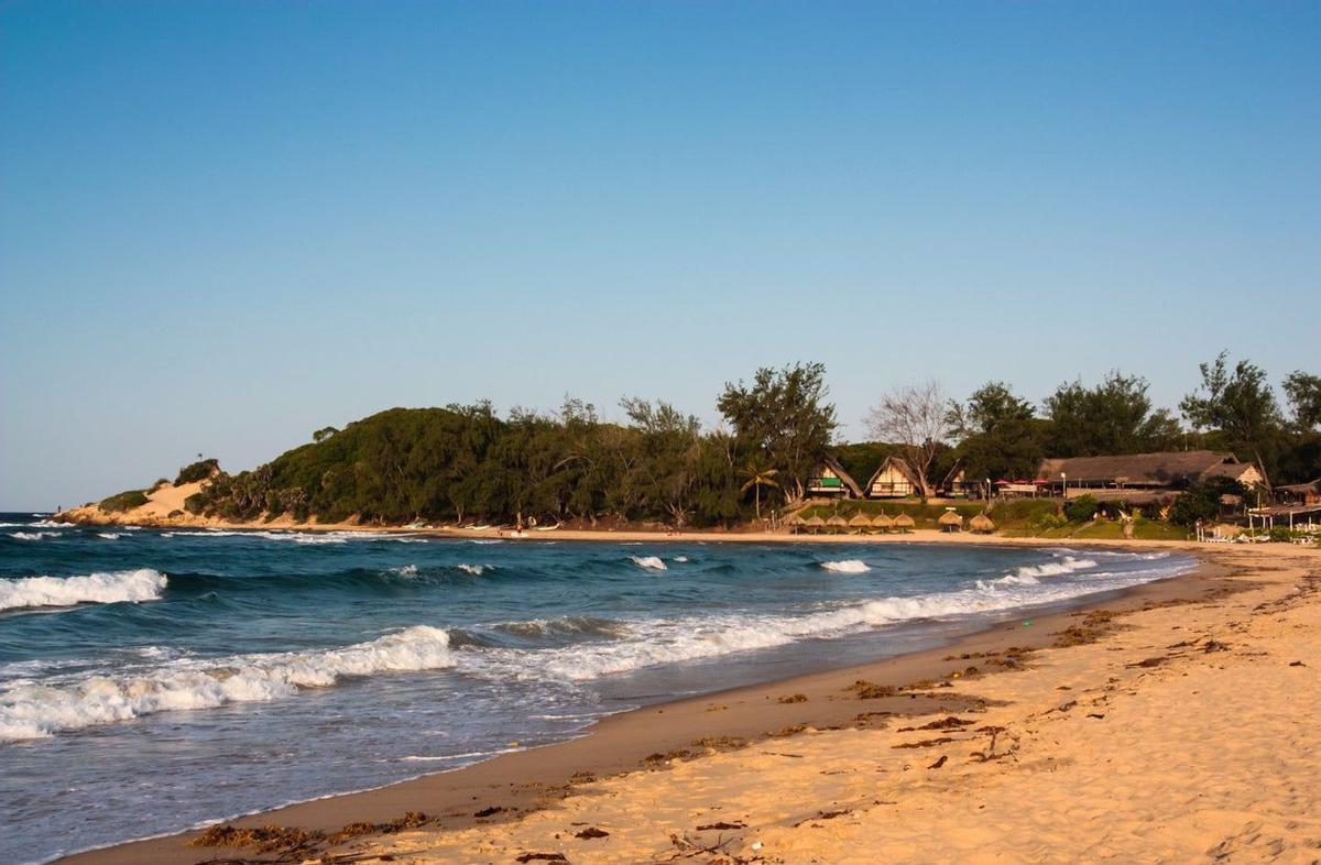 ¿Te gusta la idea de un safari oceánico? En Tofo lo tienes a tu alcance ...