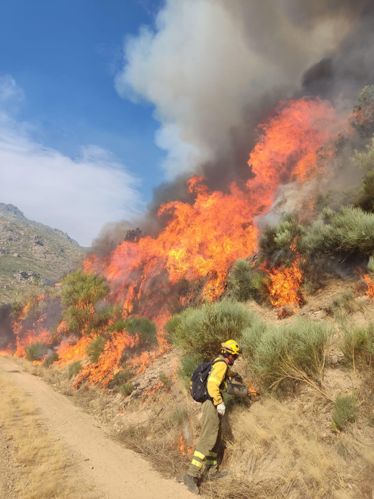 INCENDIOS FORESTALES: El incendio de Jarilla (Extremadura), "muy ...
