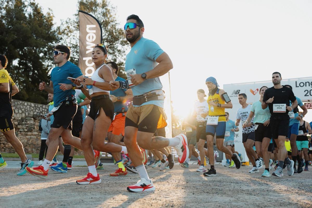 LONG RUN 2025: El Maratón Valencia celebró su 'ensayo general' con el ...