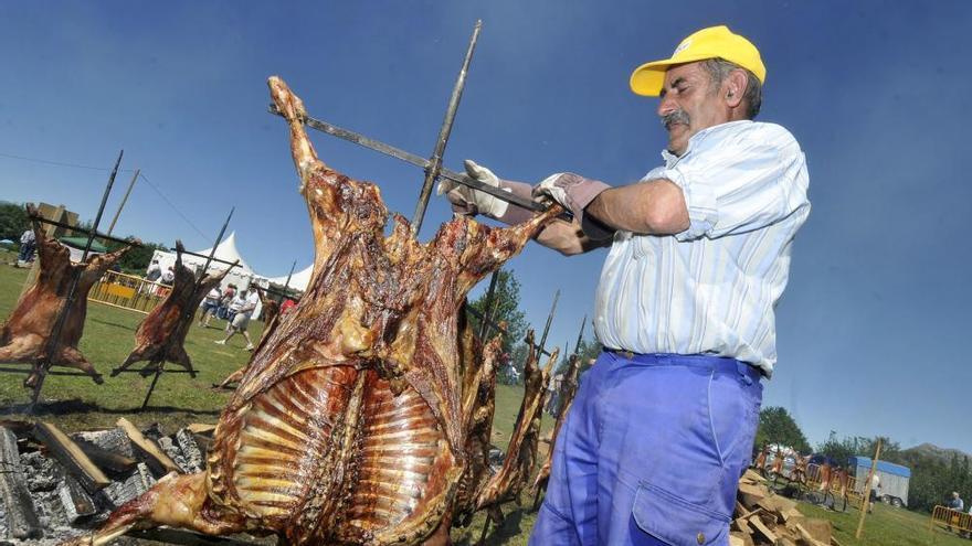 Cincuenta años al rico cordero