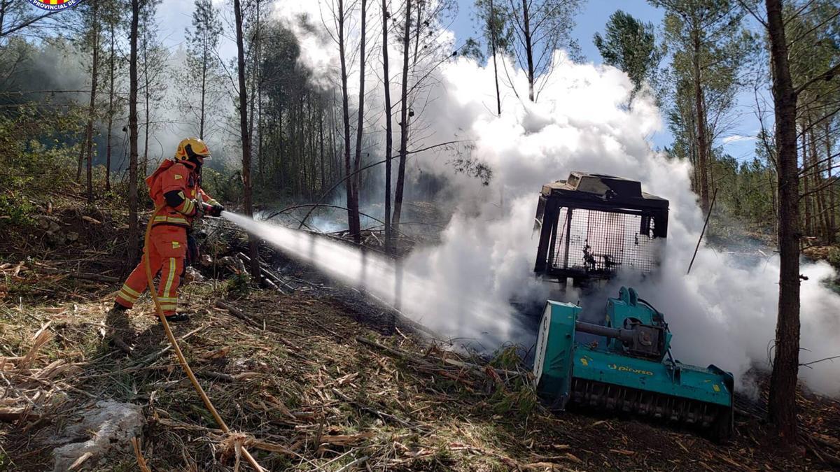 Incendio Forestal: La rápida actuación de los bomberos evita que el ...
