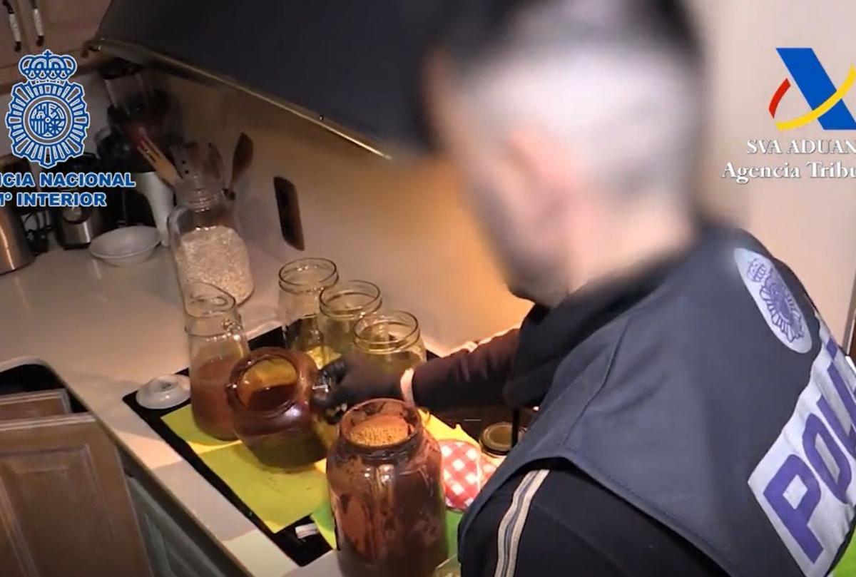 Droga ayahuasca chamanes | La peligrosa moda de la ayahuasca, la droga ...