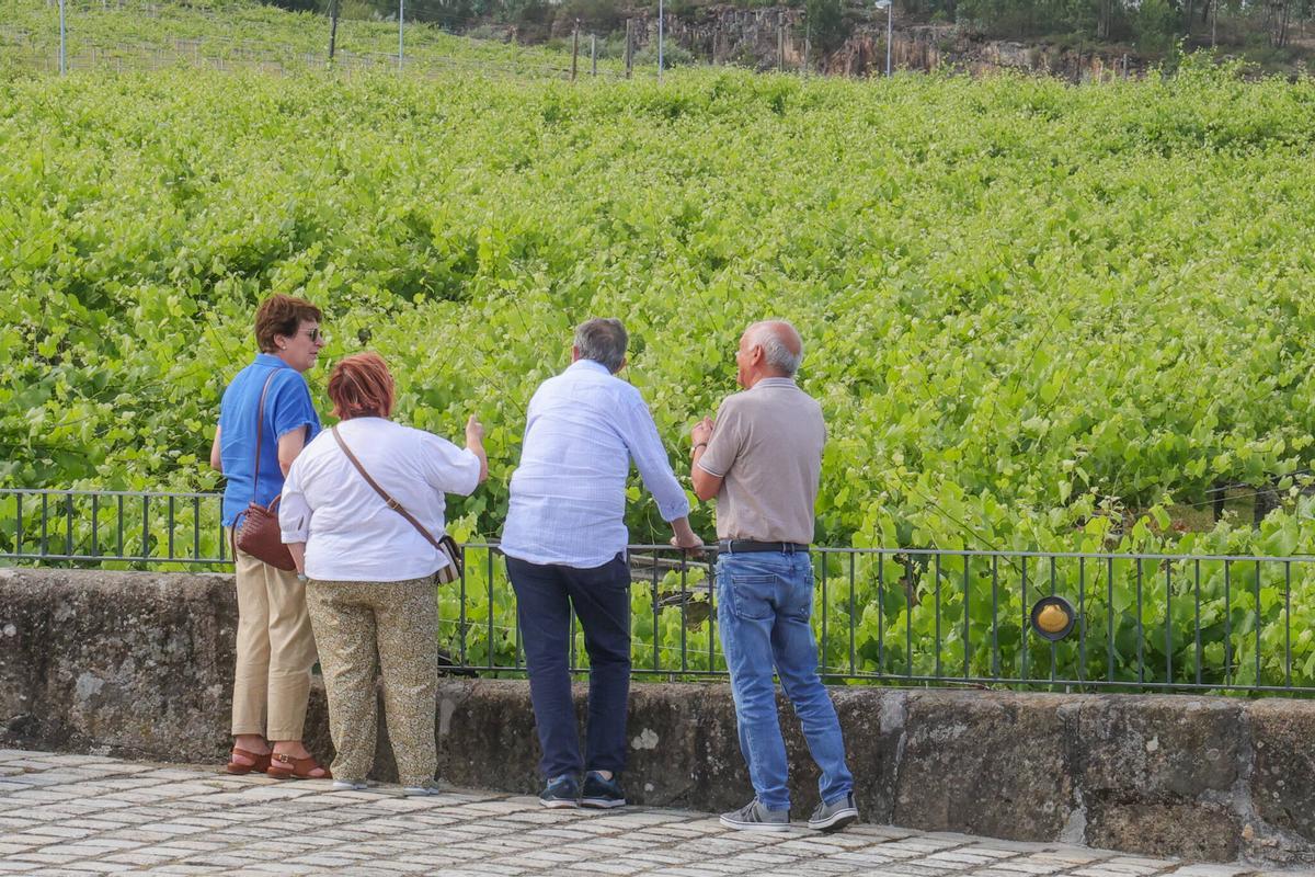 Bodega Granbazán, 45 años de historia y un futuro prometedor
