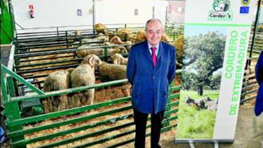 Corderex, a la conquista de Italia