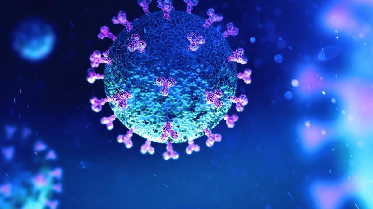 Contagios Coronavirus | Consejos para reducir la transmisión de la covid