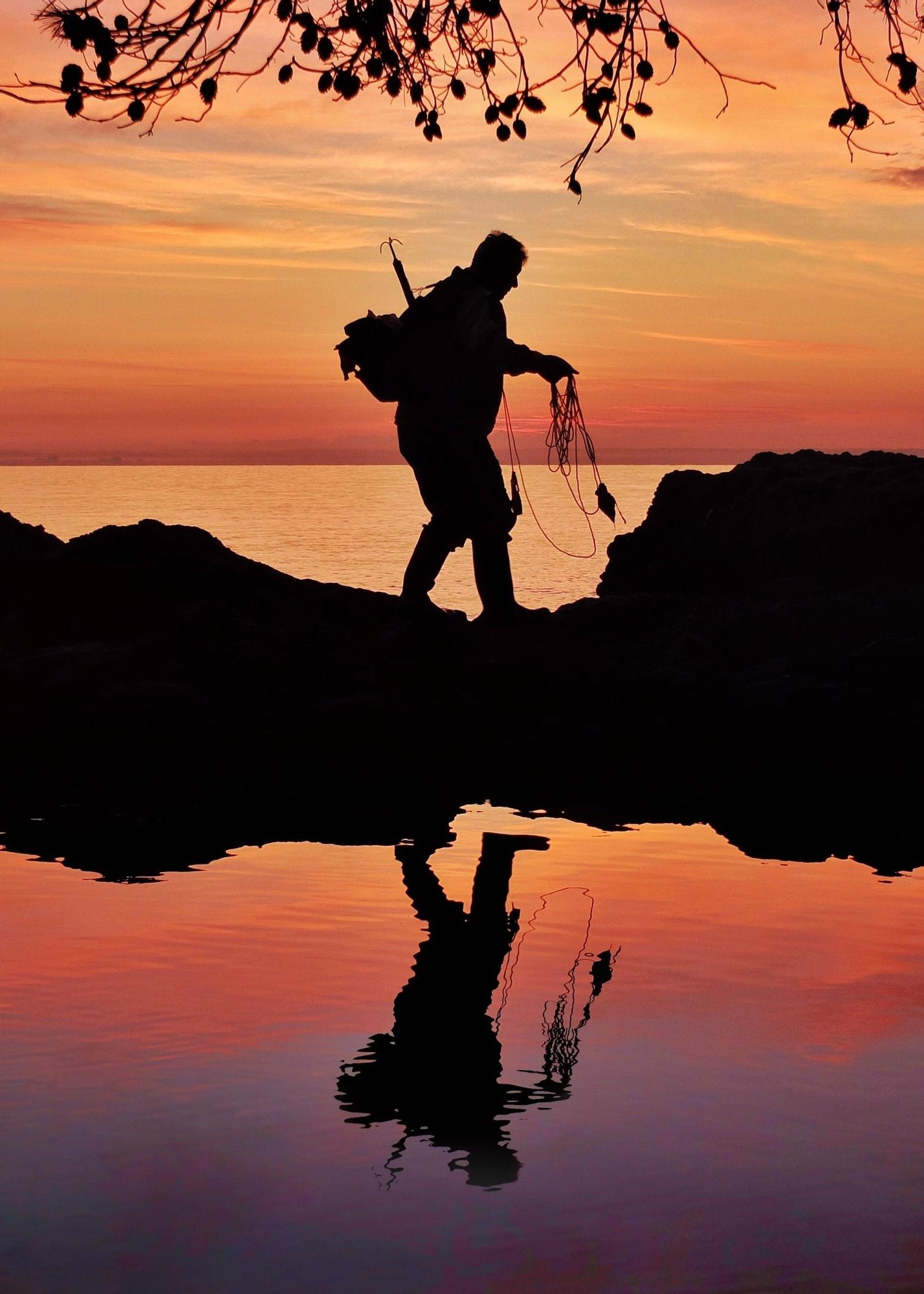 Estas son las fotos ganadoras del Certamen para la Conservación del Mar ...