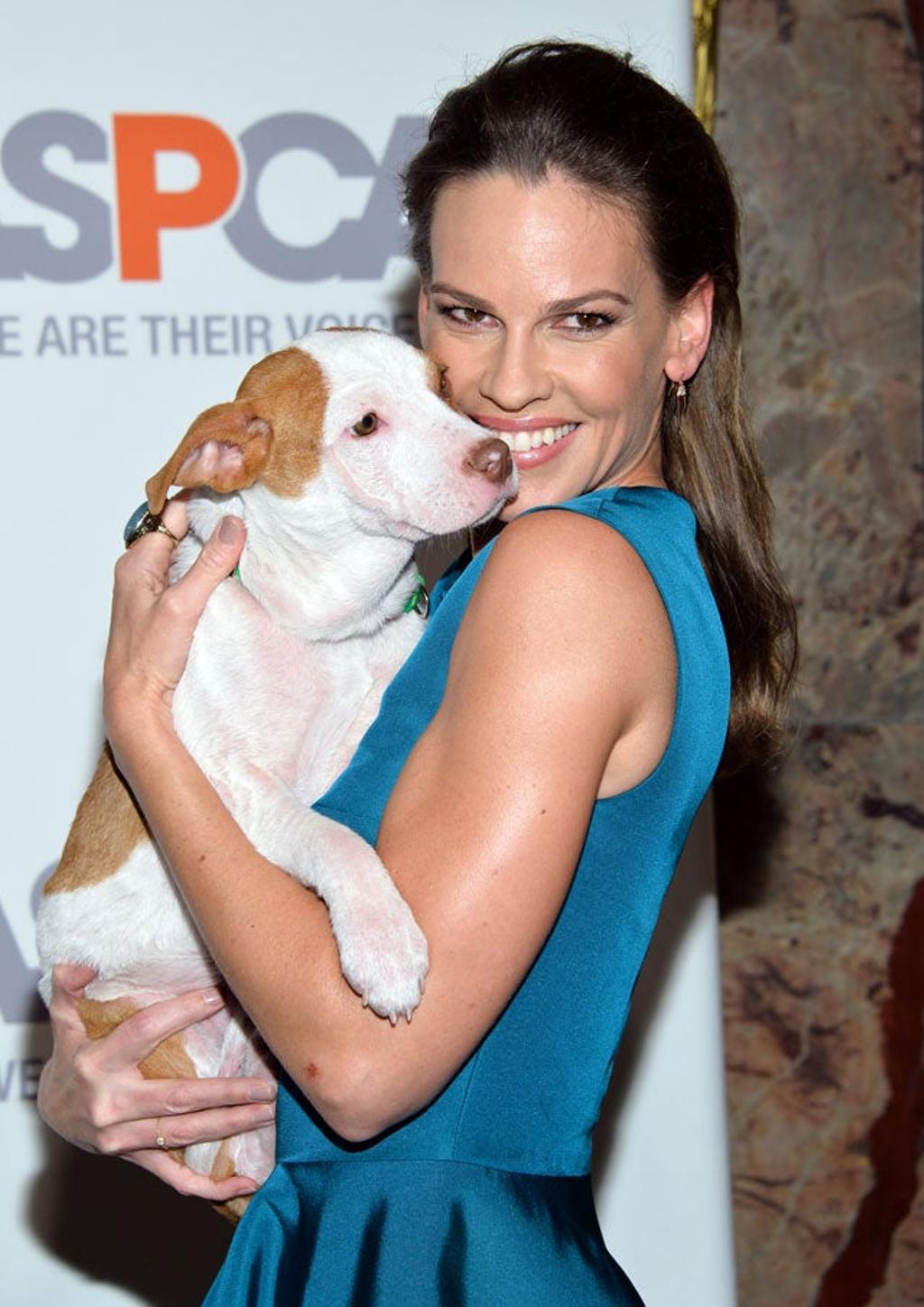 Hilary Swank, embarazada de mellizos, ¡a los 48 años! - Cuore