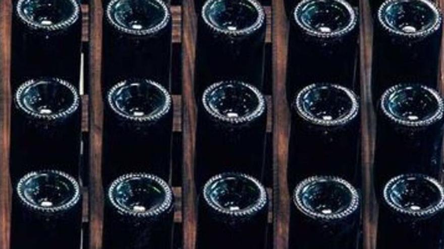 Vino de Mallorca: El proyecto ReWine se convierte en una oportunidad ...