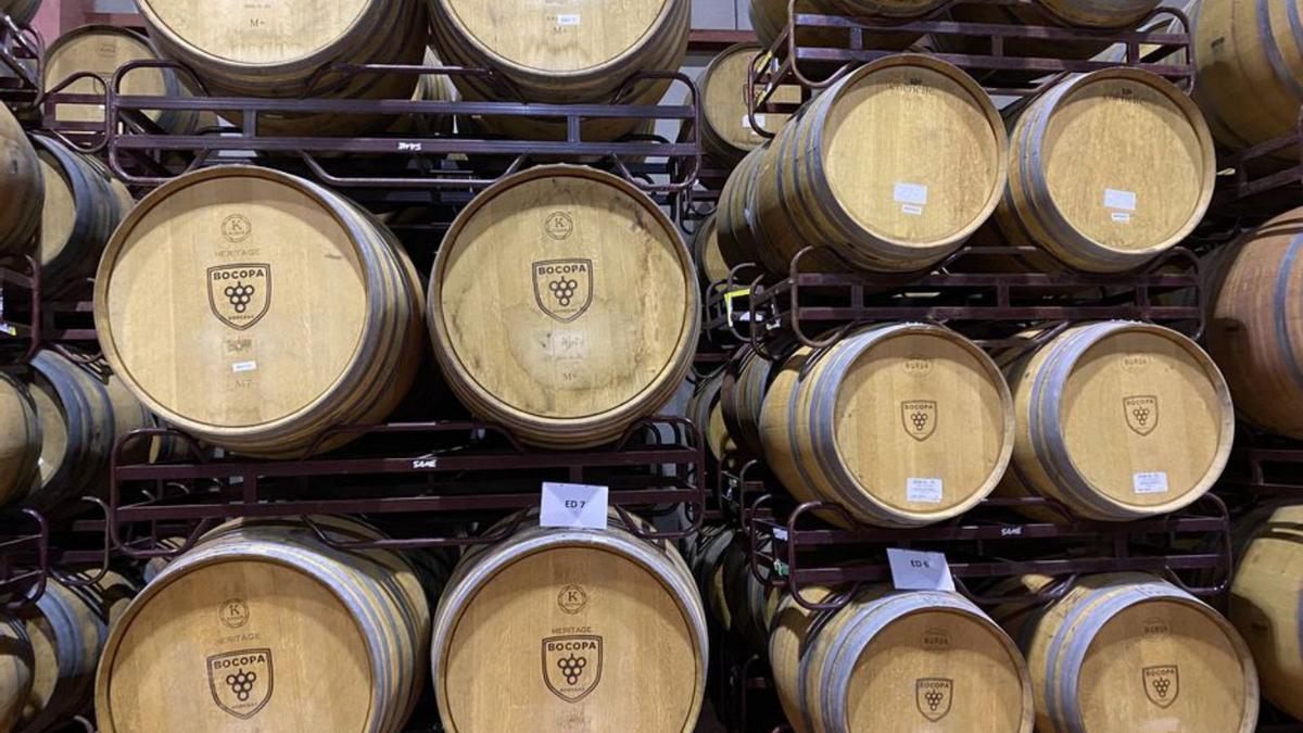 Bocopa abre sus puertas para celebrar la vuelta de «Menjars de la Terra ...