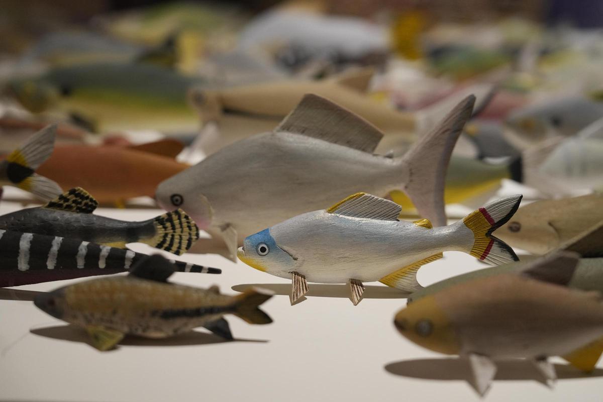 El CCCB presenta la exposición “Amazònies. El futur ancestral” | FOTOS