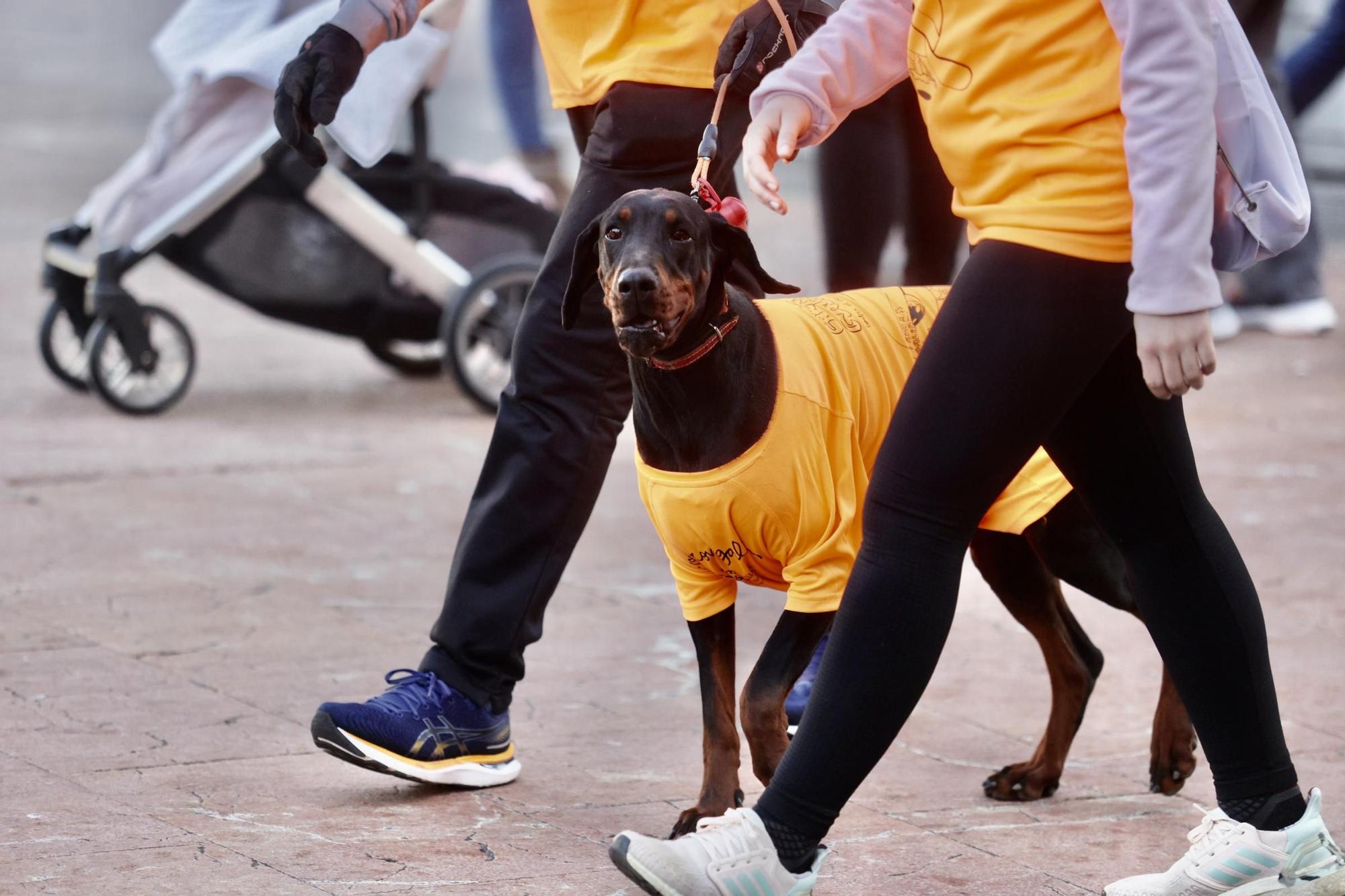 Una marea naranja atravesó Oviedo: así fue la carrera de Galbán en la ...