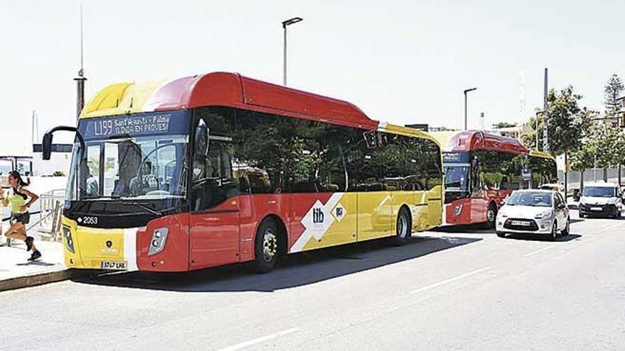 Los nuevos autobuses TIB arrancan: cambios en las tarifas y más rutas