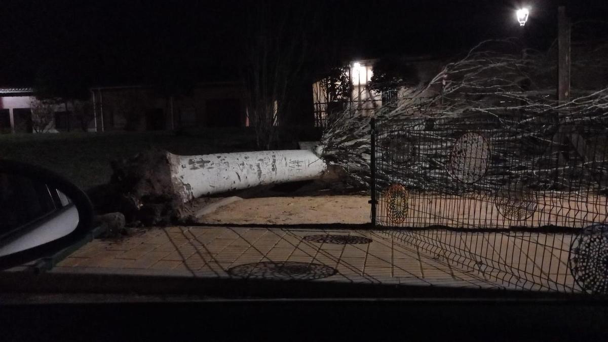 BORRASCA HERMINIA CASASECA DE LAS CHANAS ZAMORA | Casaseca de las ...