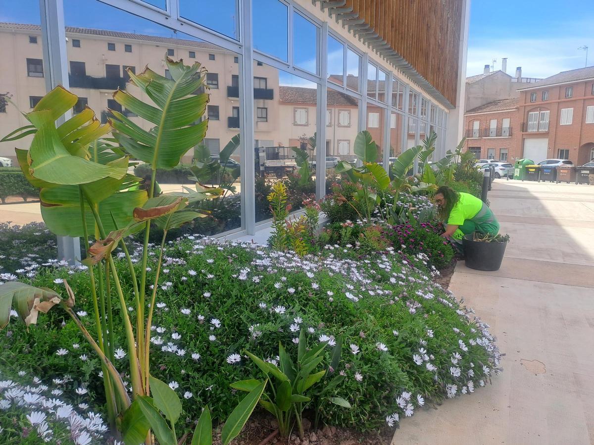 Bétera recibe al jurado de Viles en Flor por segundo año consecutivo