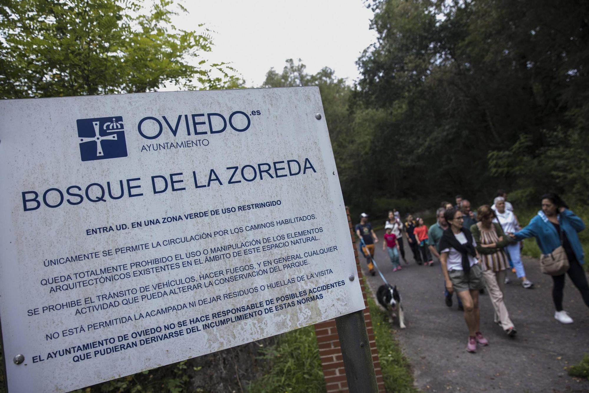 En imágenes: La Zoreda, un bosque "animado" para viajar en el tiempo