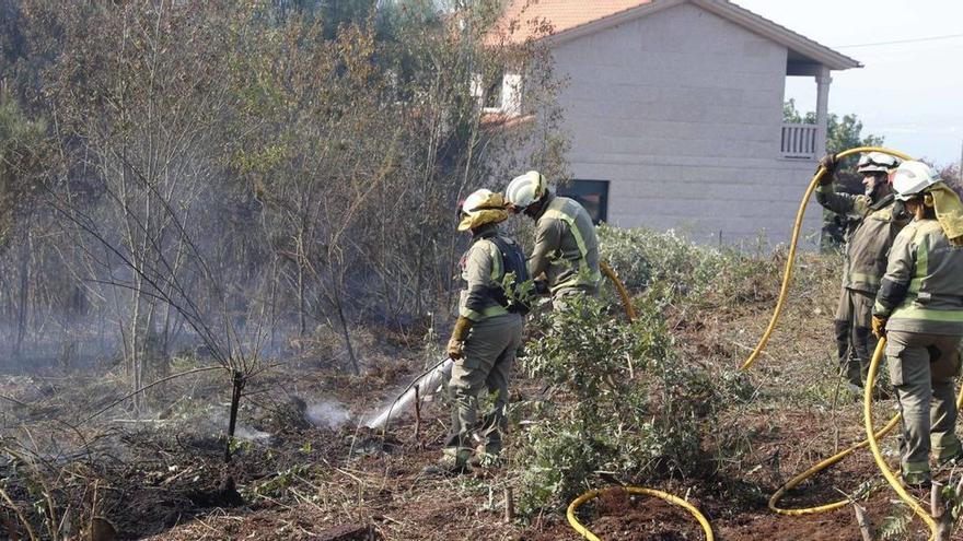 Conoce a Kwanasaurus, un temprano pariente de los dinosaurios - Levante-EMV