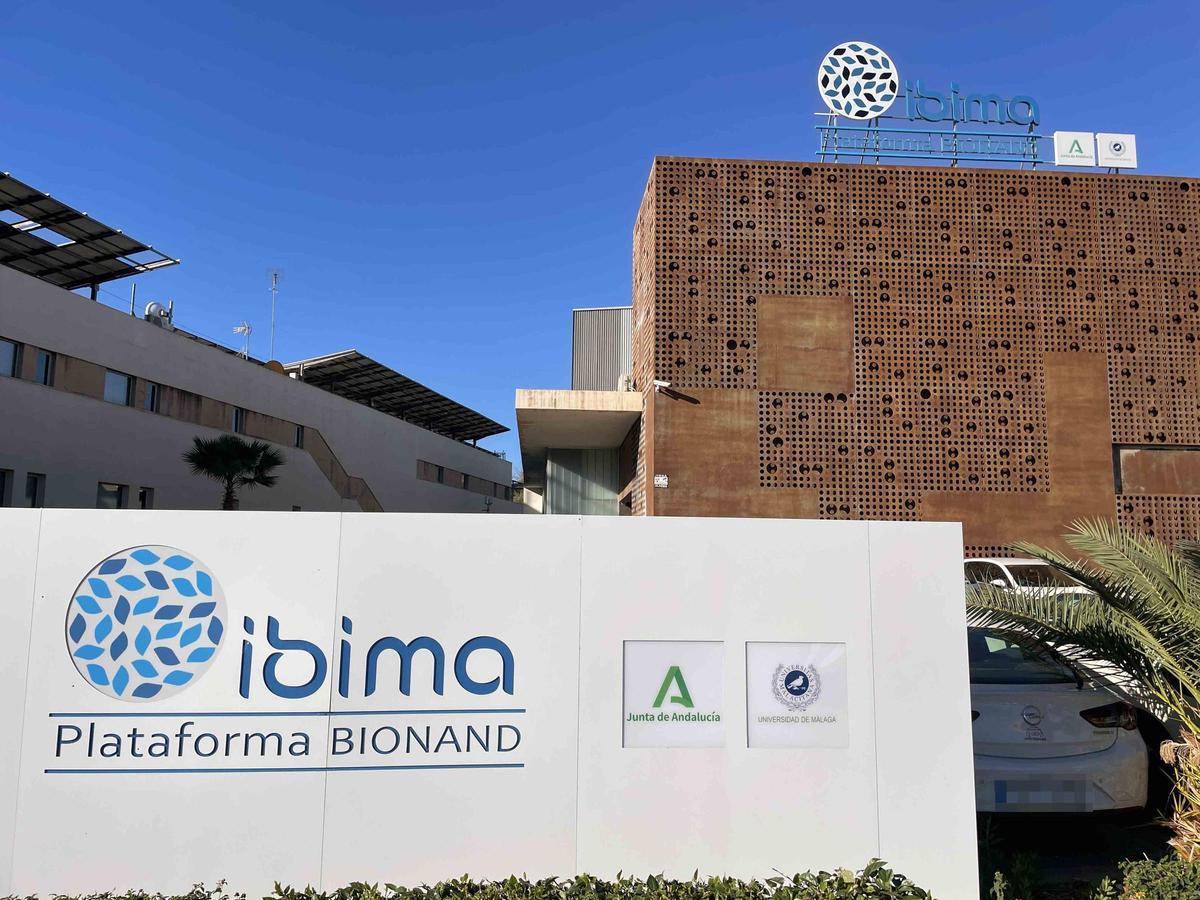 INVESTIGACIÓN EN CÁNCER | Investigadores del Ibima desarrollarán un análisis de sangre que ...