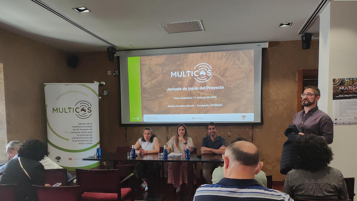 Tineo acogió la presentación del proyecto MULTICAS que reivindica al ...