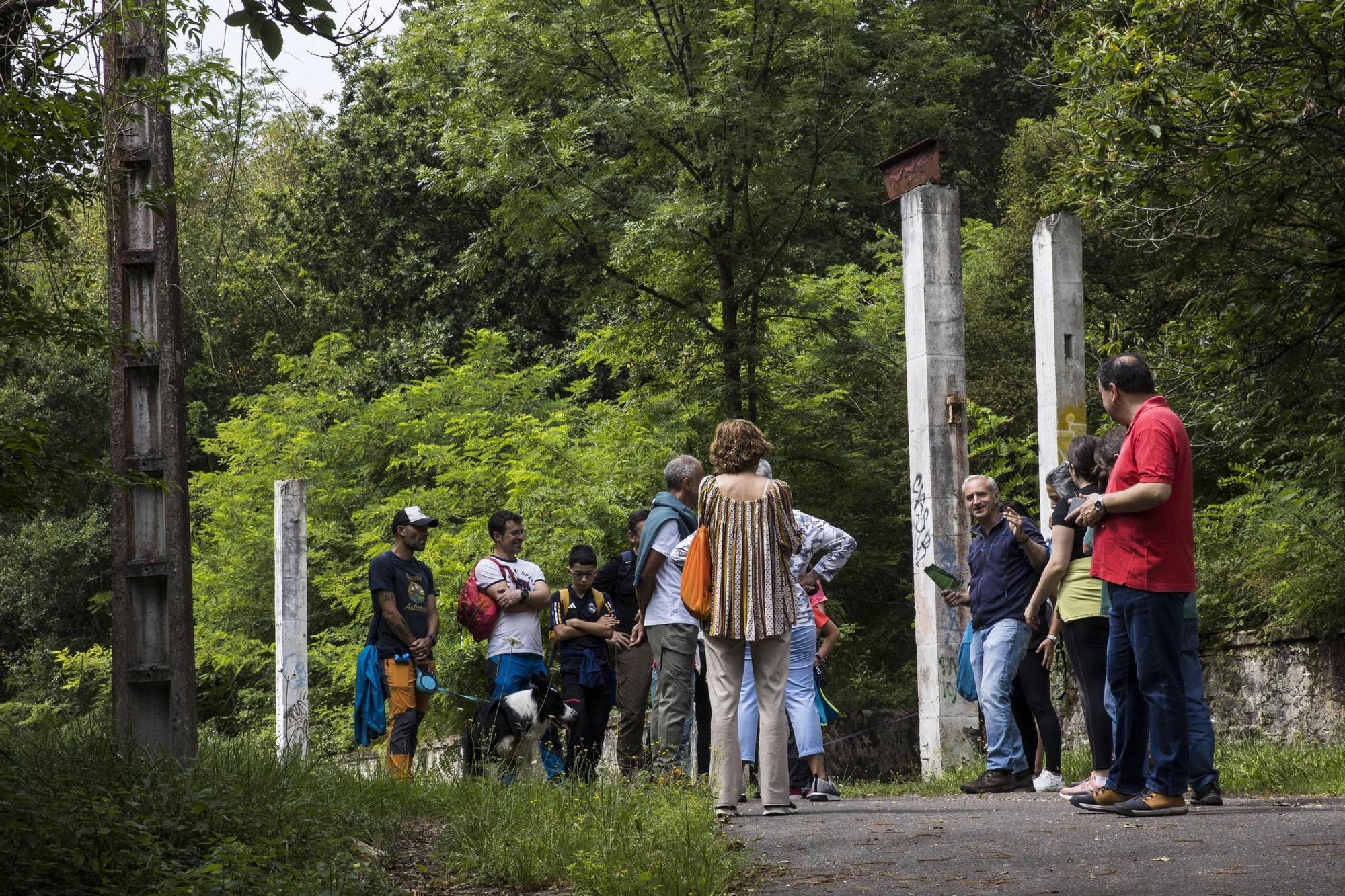 En imágenes: La Zoreda, un bosque "animado" para viajar en el tiempo