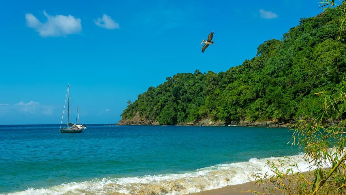Siéntete como un náufrago en la isla chilena Robinson Crusoe - Viajar