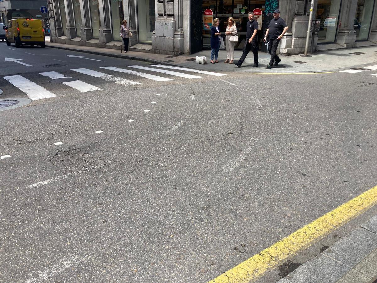 BRUTAL ATAQUE PERRO PELIGROSO GIJÓN | Alarma en pleno centro de Gijón ...