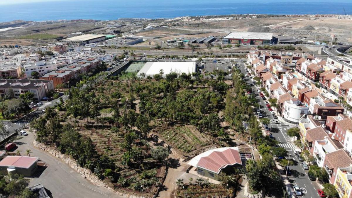 El Ayuntamiento de Adeje planifica visitas al Parque Central para los ...