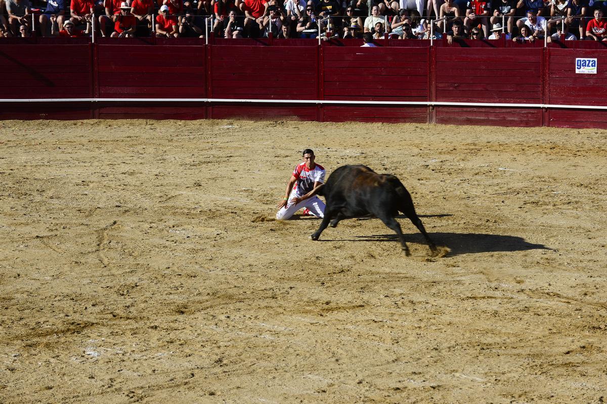 Sergio García "Tororo" se alza con el título de la primera eliminatoria ...