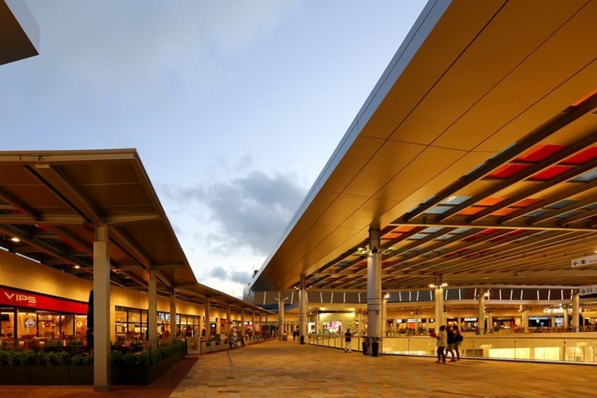 Alisios reabre sus puertas