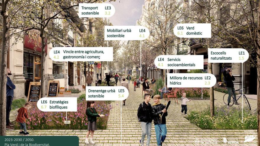 El Plan Verde y de la Biodiversidad Urbana de València aspira a ...