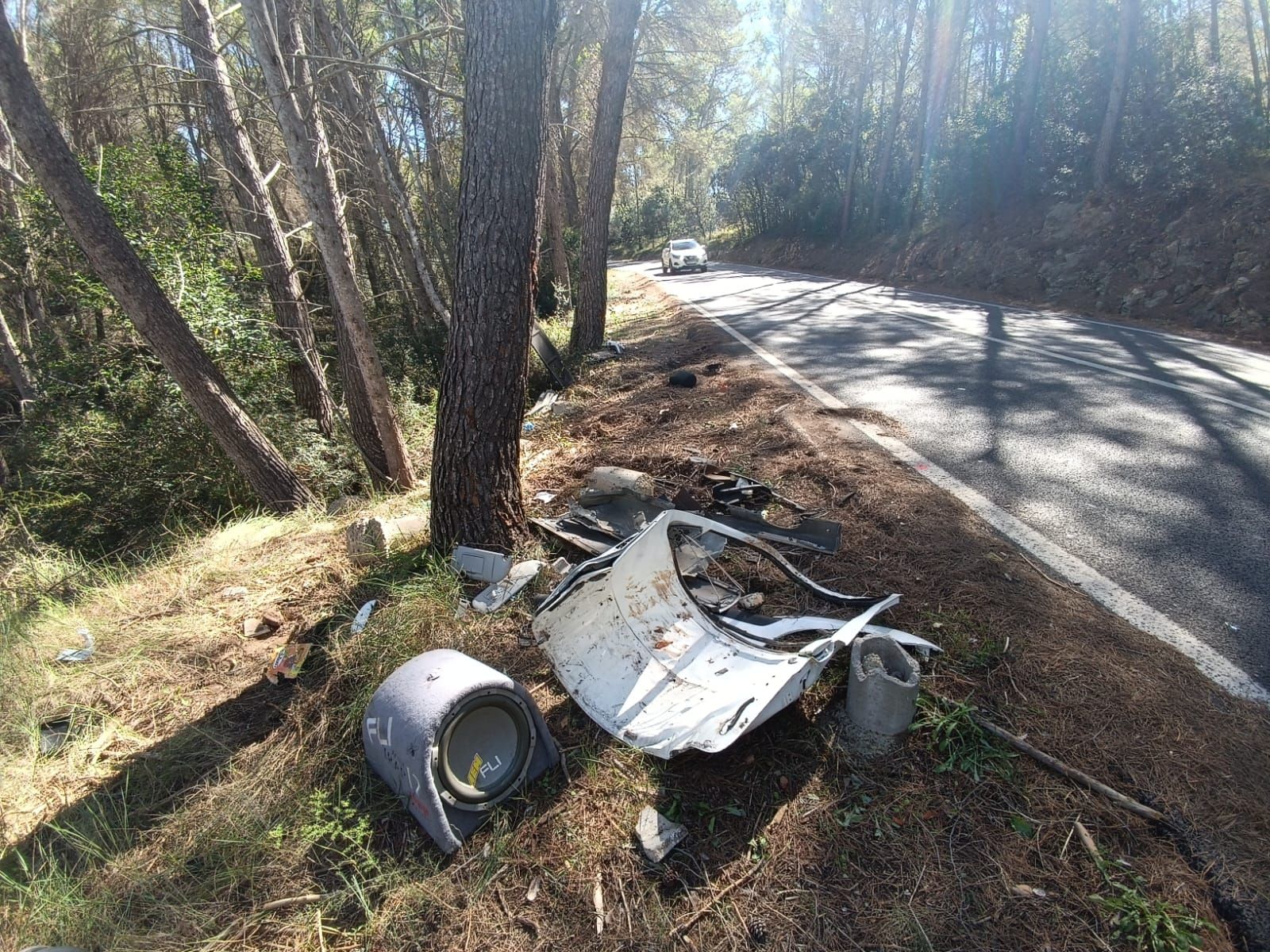 Dos jóvenes fallecen al chocar con su coche contra un árbol en la ...