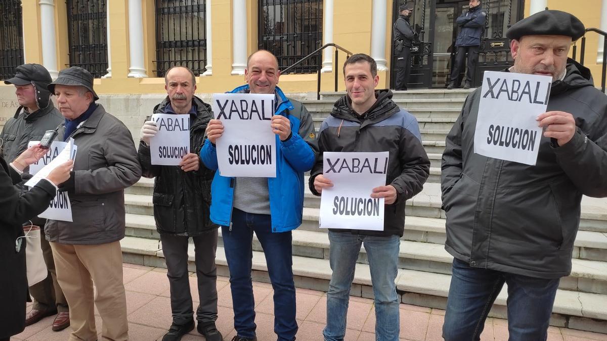 La solución agroganadera a "la plaga" de jabalíes: "Tienen que poder ...