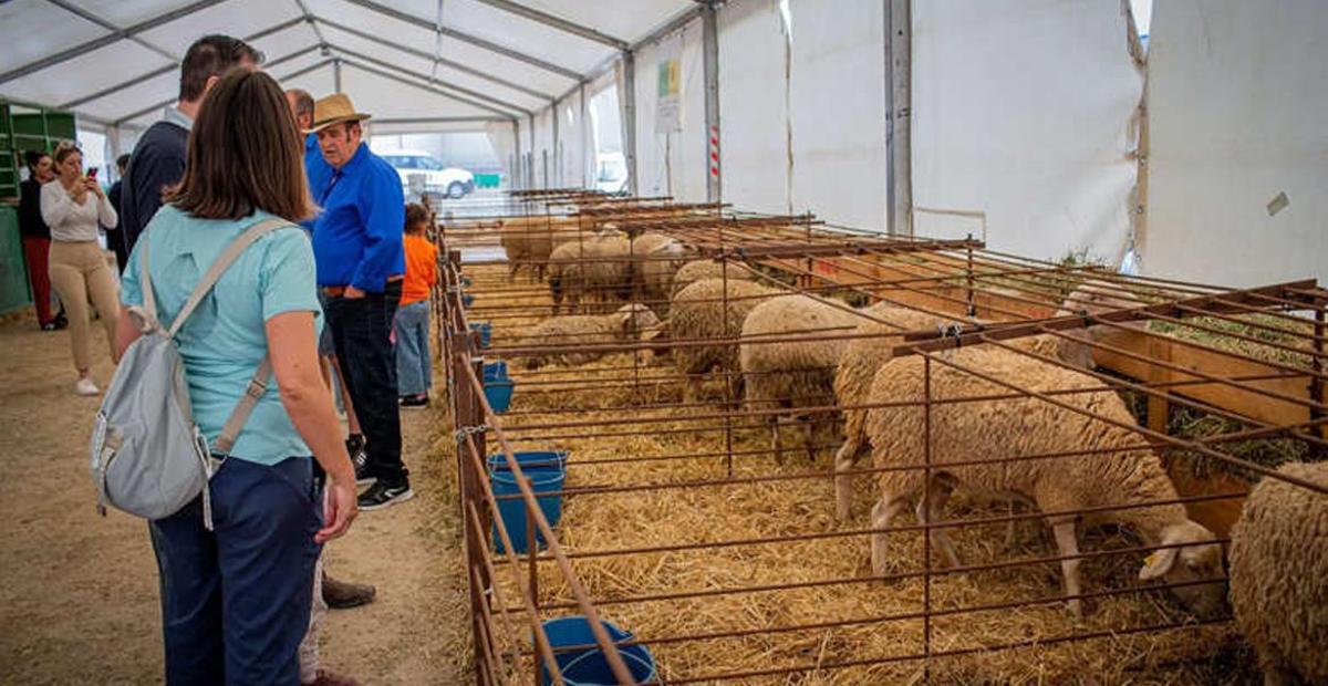 La Feria Valga convierte Épila en escaparate del mundo rural