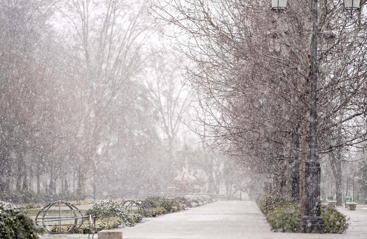 NIEVE EN MADRID | 28 de enero de 2026: las imágenes de la gran nevada ...