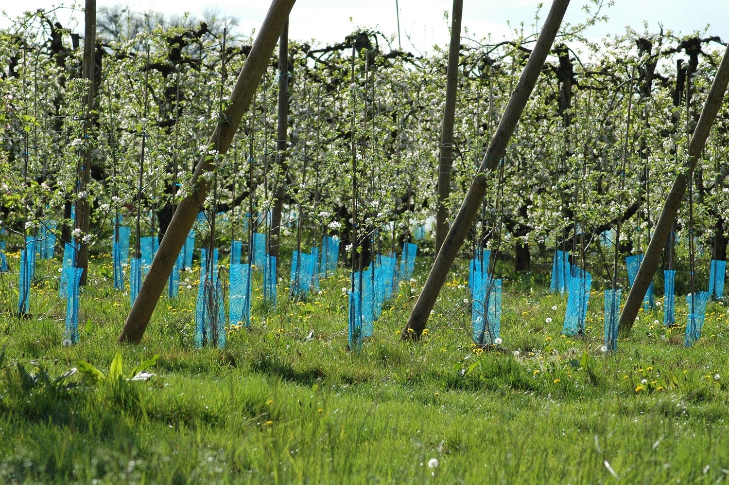 El fondo Abac y Catral cierran la compra de la fabricante de mallas y ...
