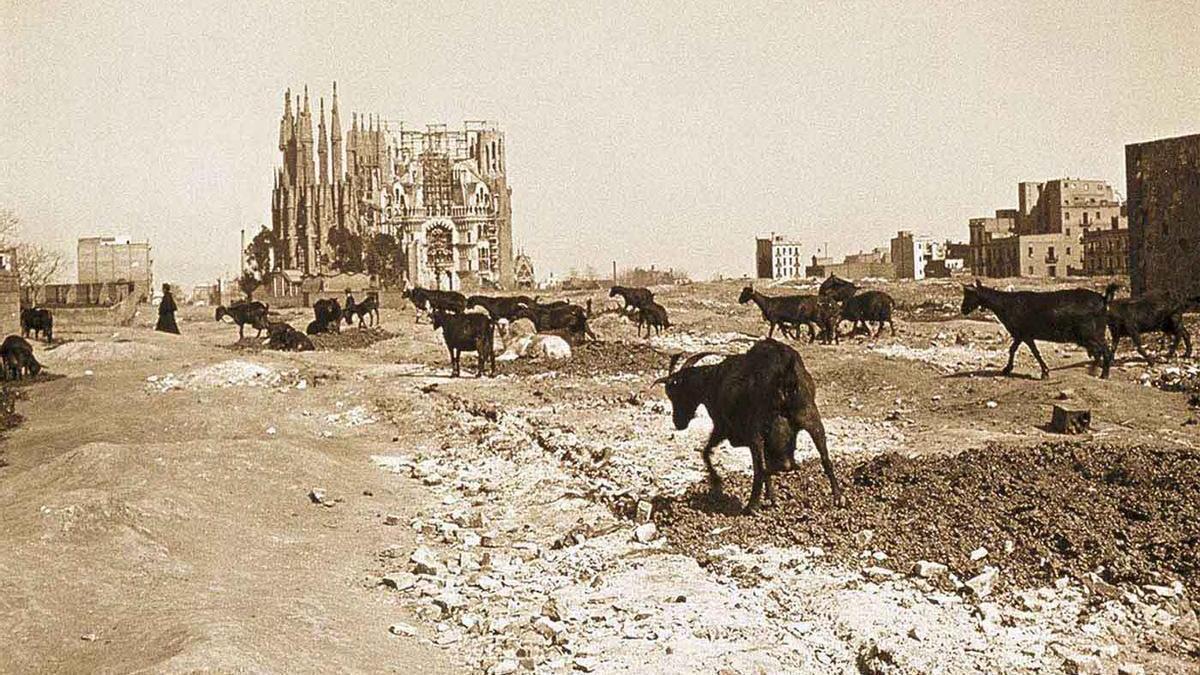 El olvidado autor tras la foto más viral de la Sagrada Família, cuando ...