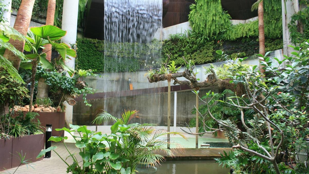 El parque de Málaga con la mayor colección de orquídeas de Europa: con ...