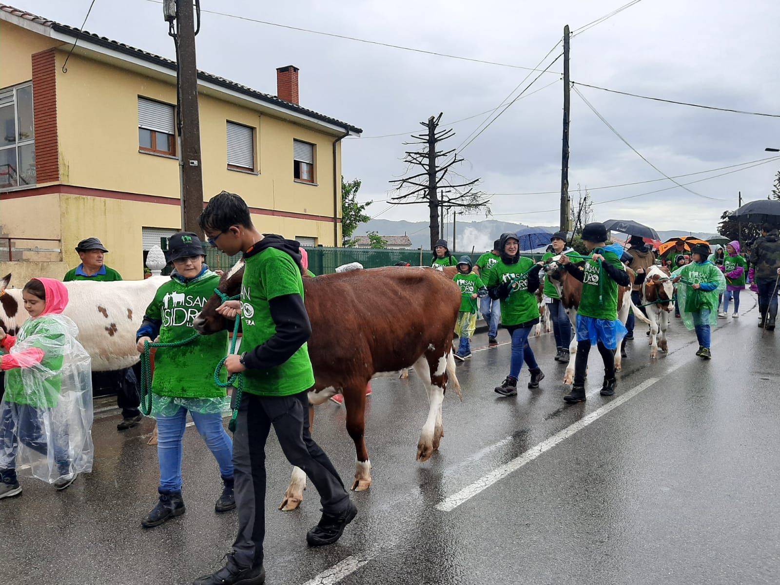 Marea verde en la fiesta del campo de Llanera: así fue el espectacular ...