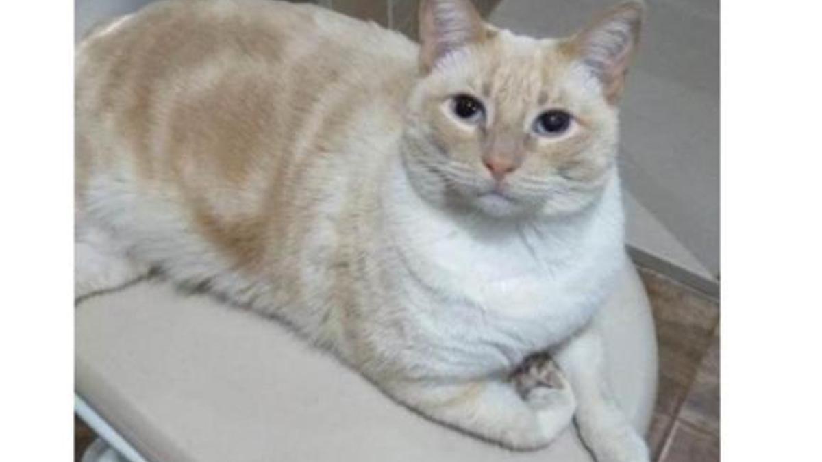 La cantidad de dinero desorbitada que ofrece a la persona que encuentre ...