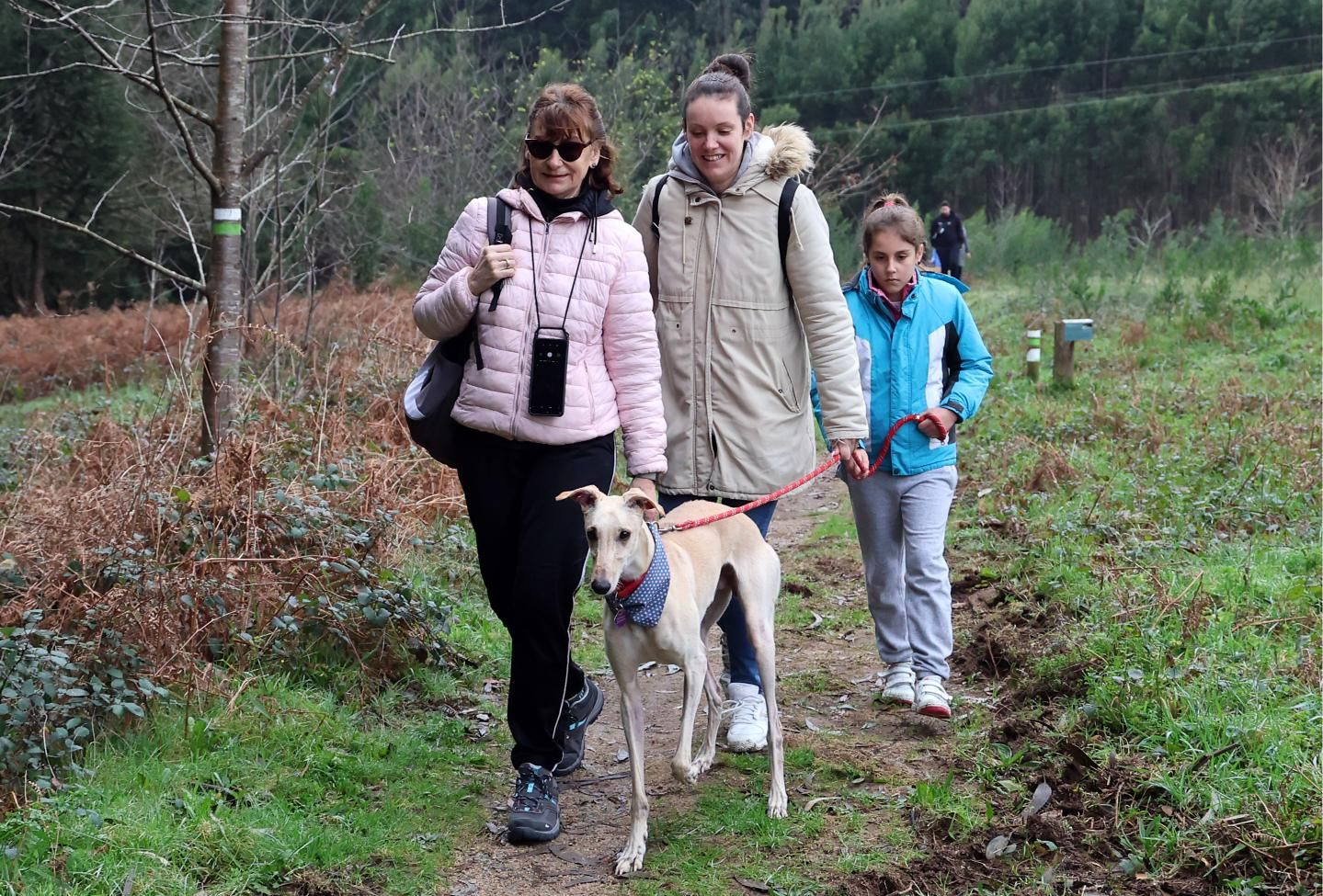 PASEO DE PERROS PERRERA VIGO: Un paseo de esperanza para los perros de ...