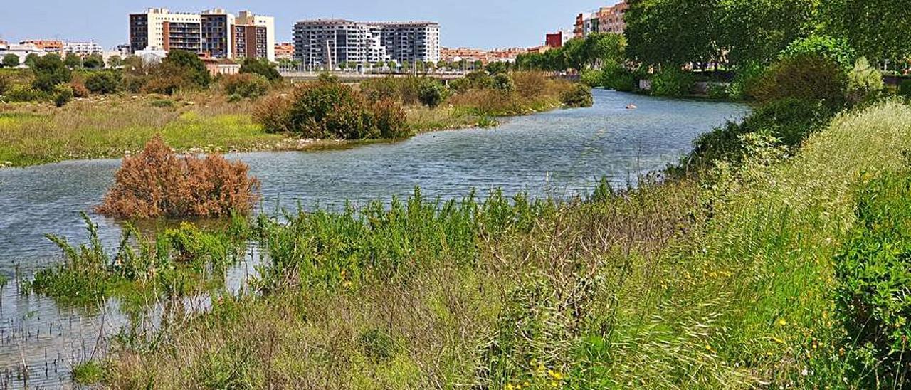 Río de vida al no poder embalsar más agua - Levante-EMV