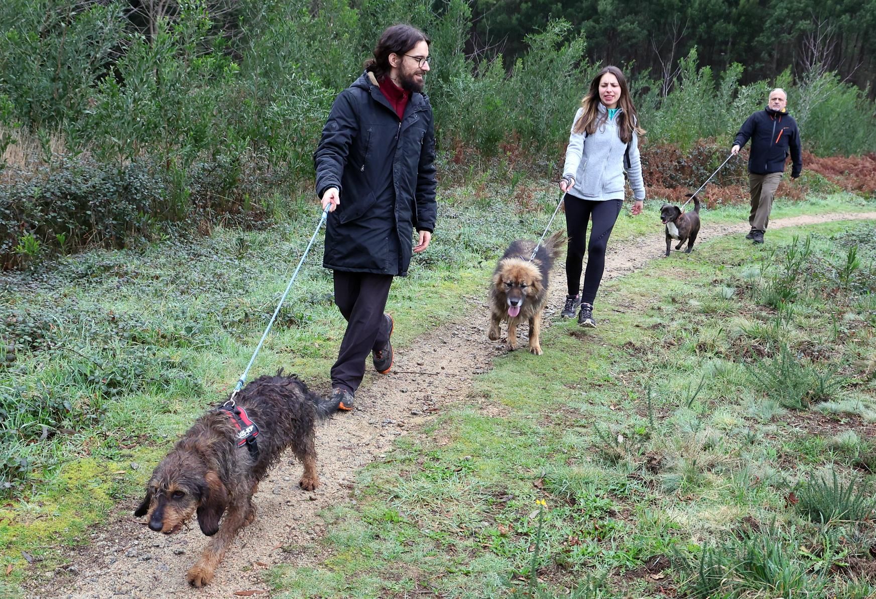 PASEO DE PERROS PERRERA VIGO: Un paseo de esperanza para los perros de ...