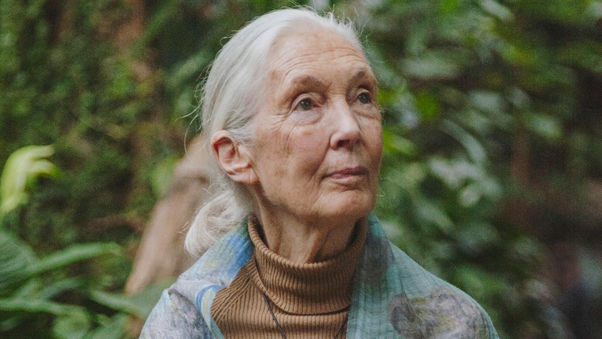Jueves Sociales / Jane Goodall