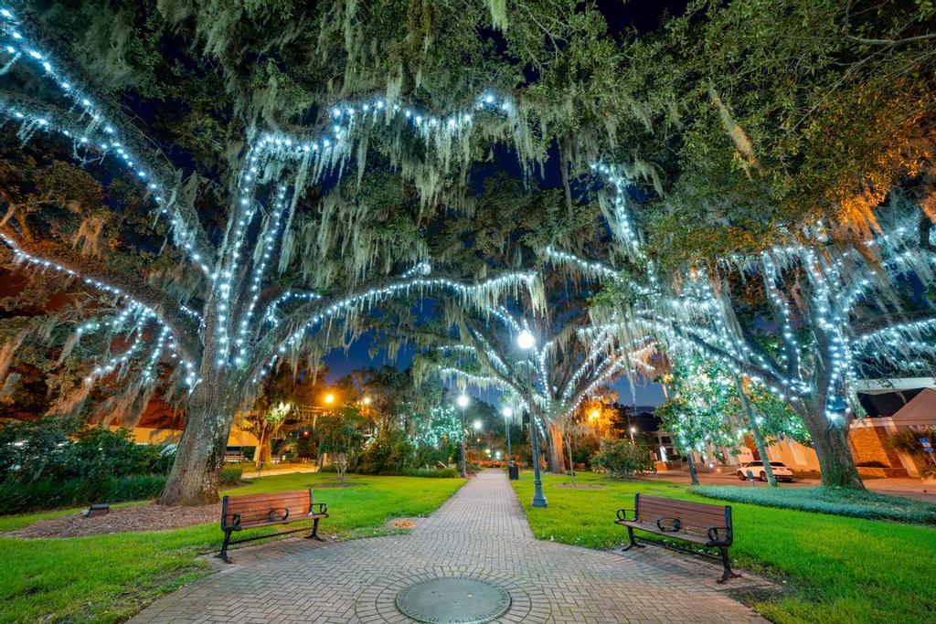 CAPITAL FLORIDA | La capital de Florida no es Miami: se llama ...