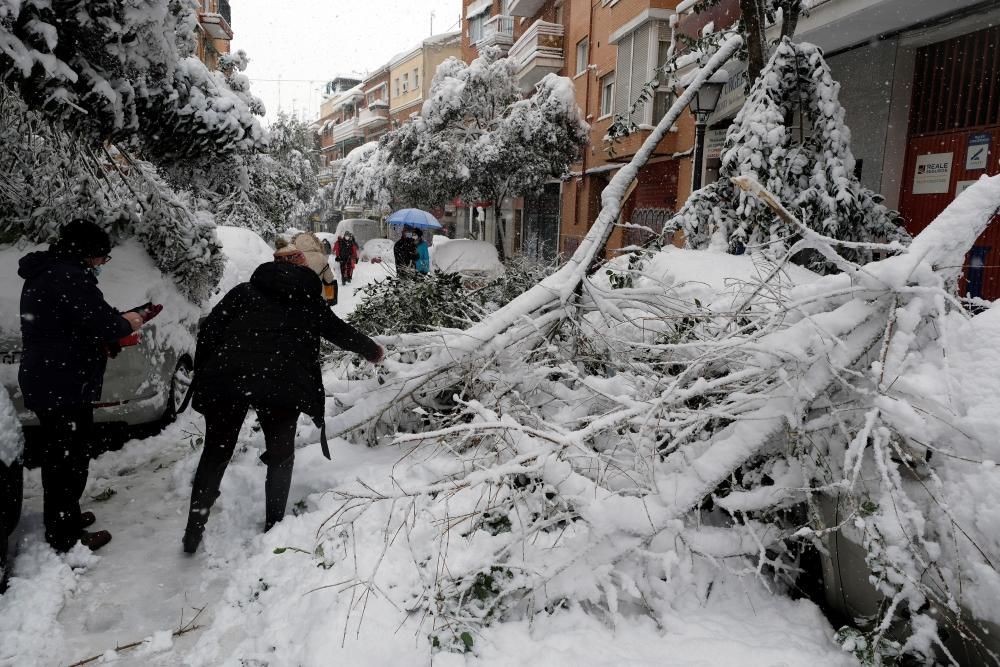 La nevada por la borrasca Filomena colapsa Madrid - Diario de Mallorca